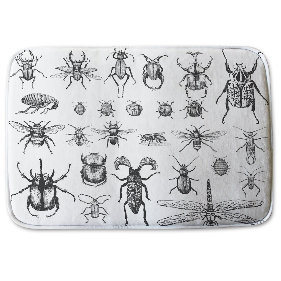 big set of insects bugs beetles and bees, fleas many species in vintag ...