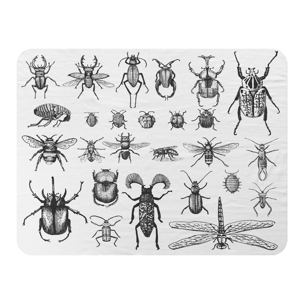 big set of insects bugs beetles and bees, fleas many species in vintag ...